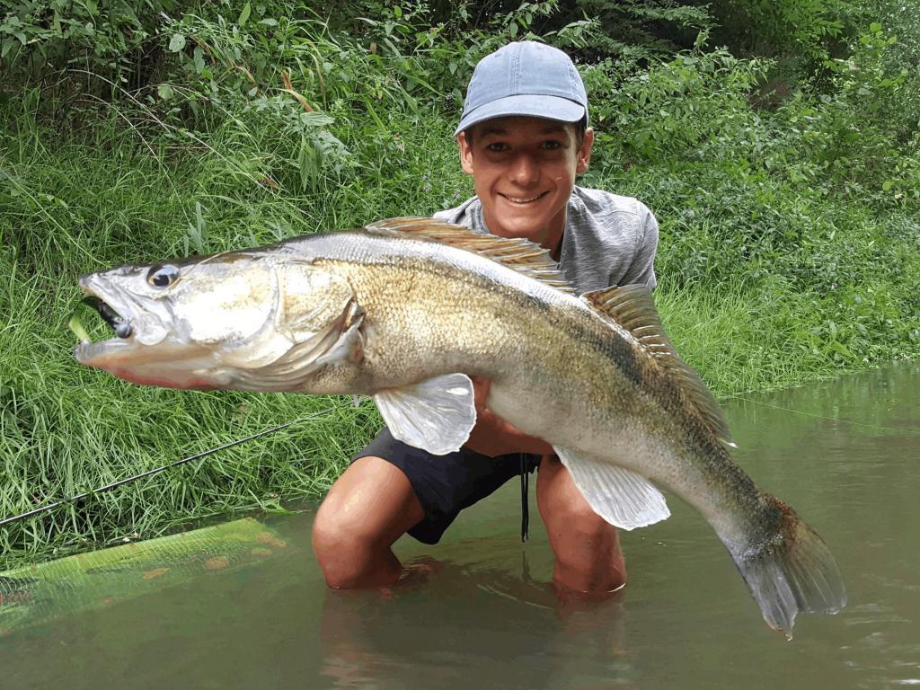 How does weather affect fish activity? - Fishsurfing