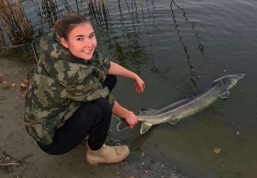 Jesiotry – jak je rozróżnić? - Fishsurfing